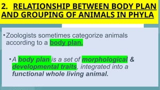Diversity of Animals PP slides(vertebrates and invertebrates).pptx