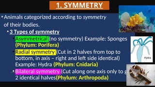 Diversity of Animals PP slides(vertebrates and invertebrates).pptx