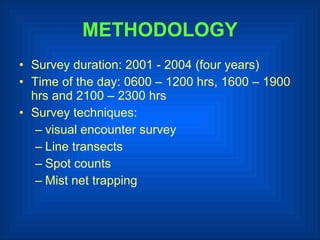 Diversity Of Birds | PPT