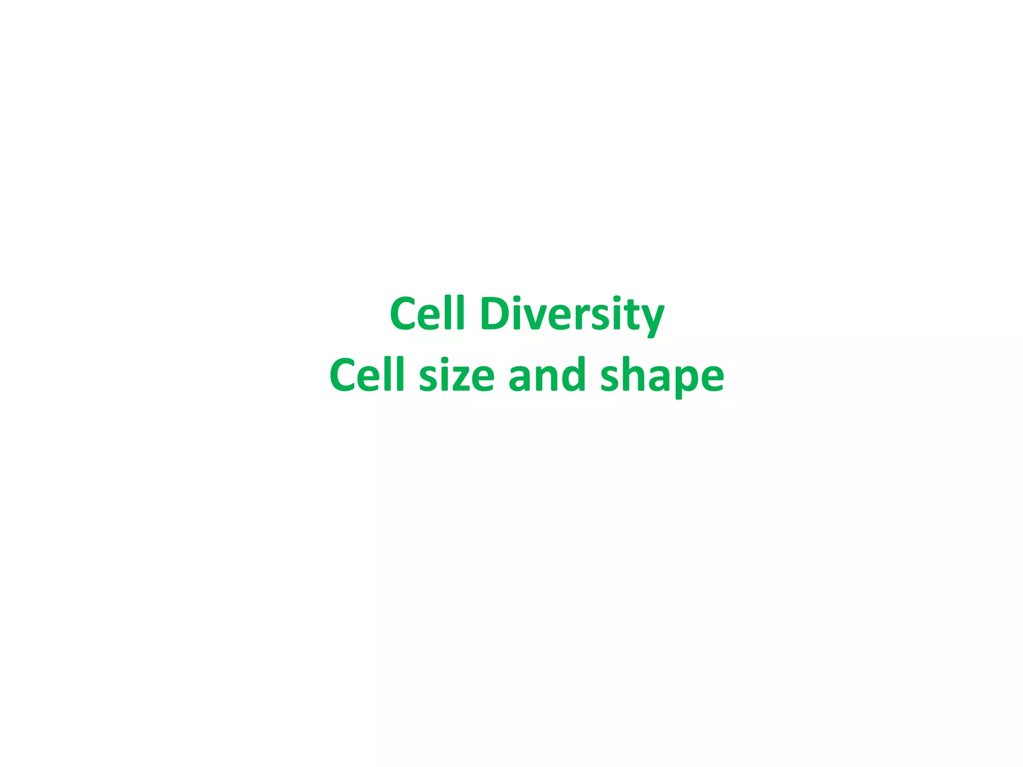 Diversity of cell shape and size | PPTX