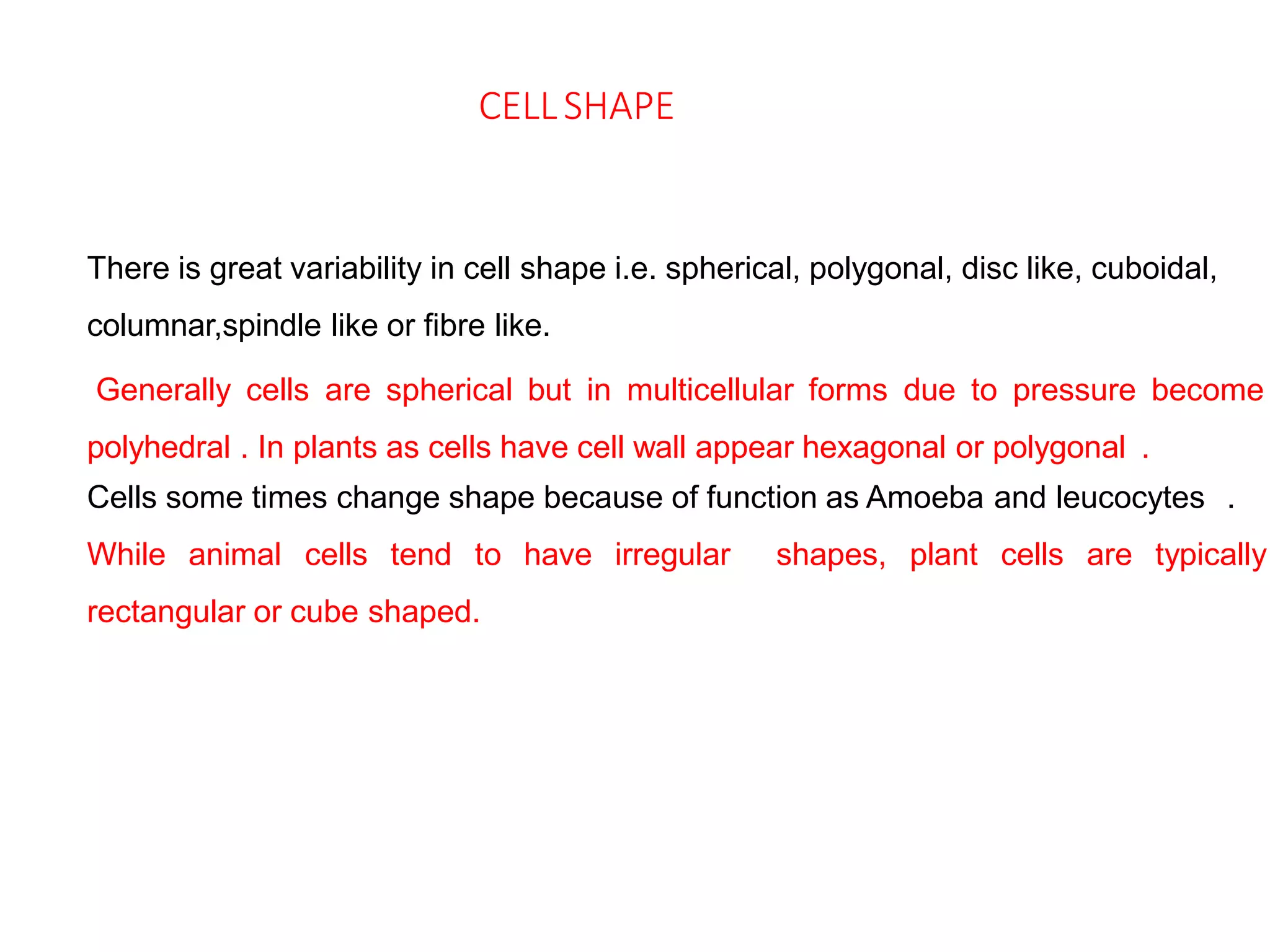Diversity of cell shape and size | PPTX