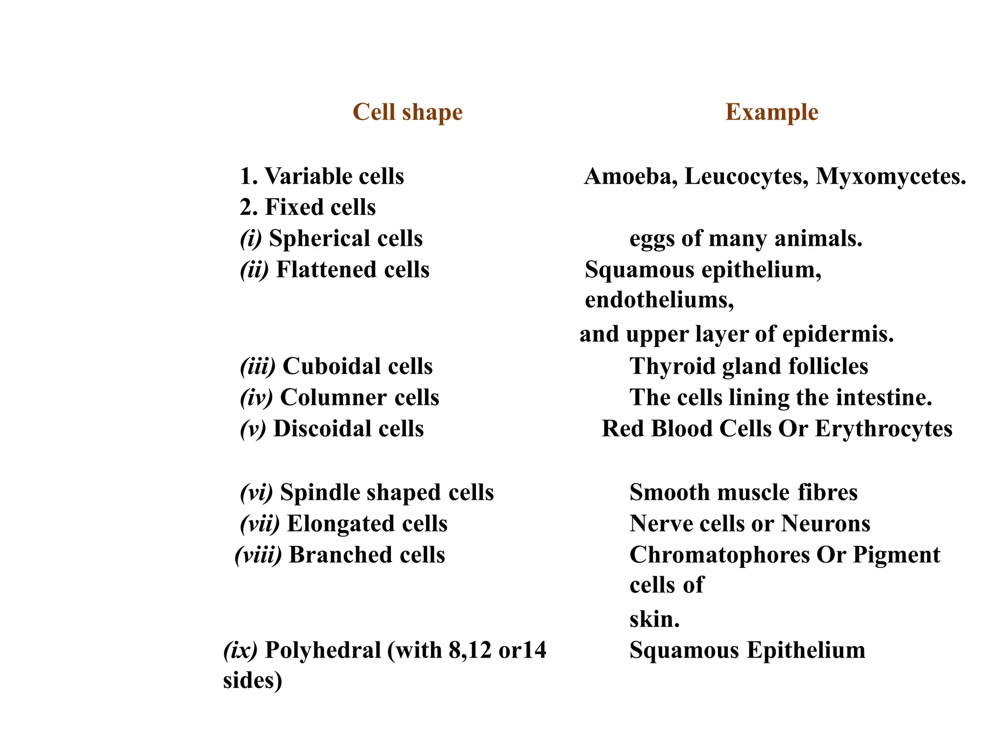 Diversity of cell shape and size | PPTX