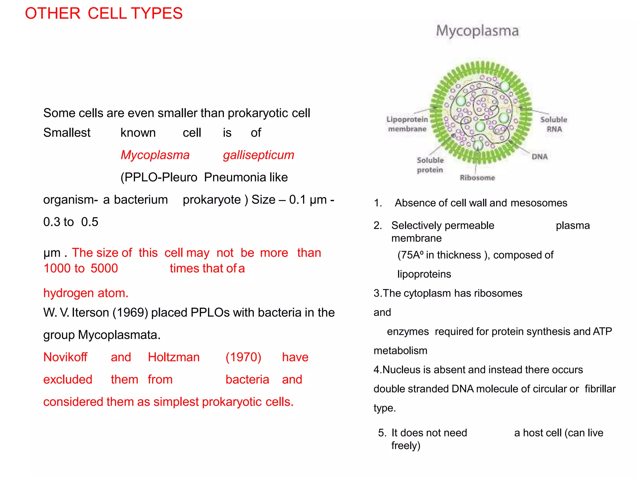 Diversity of cell shape and size | PPTX