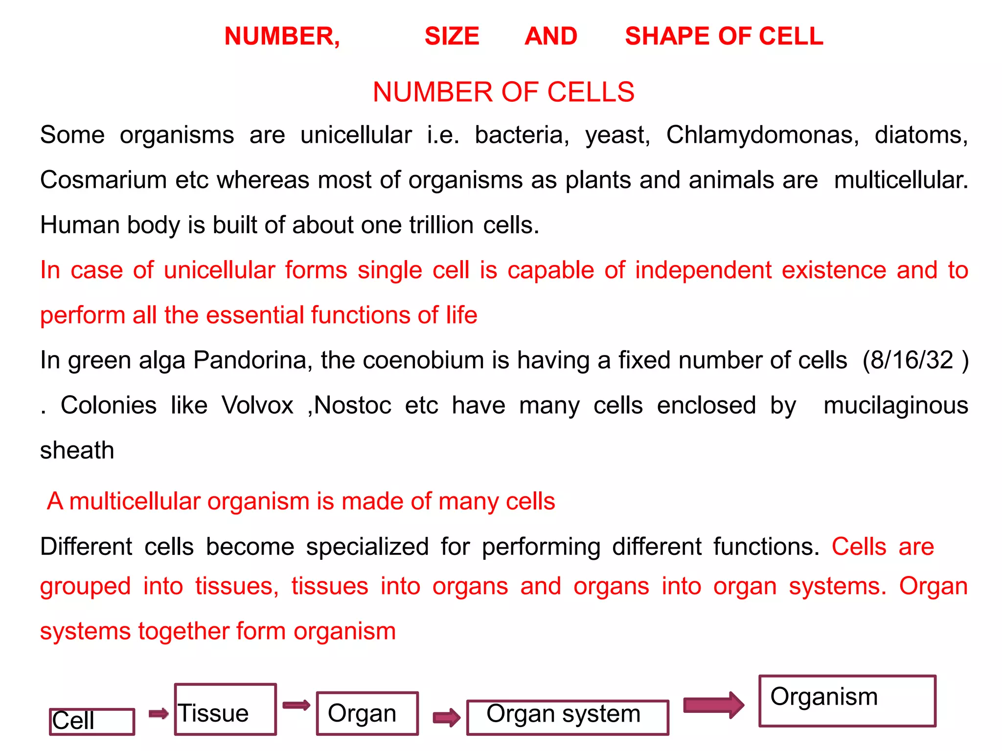 Diversity of cell shape and size | PPTX