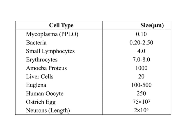 Diversity of cell shape and size | PPTX