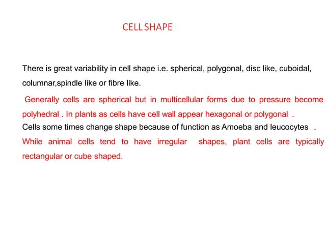 Diversity of cell shape and size | PPTX