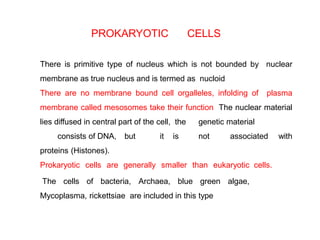 Diversity of cell shape and size | PPTX