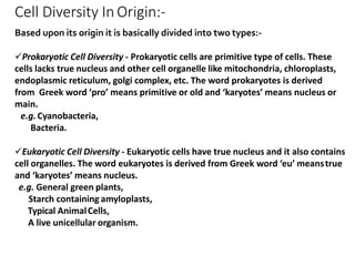 Diversity of cell shape and size | PPTX