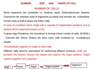 Diversity of cell shape and size | PPTX