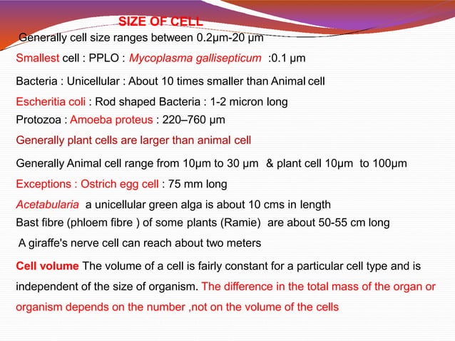 Diversity of cell shape and size | PPTX