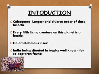 Diversity of coleoptera | PPTX