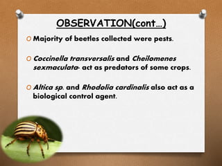 Diversity of coleoptera | PPTX