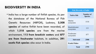Diversity of Freshwater Fishes and Edible fishes | PPTX