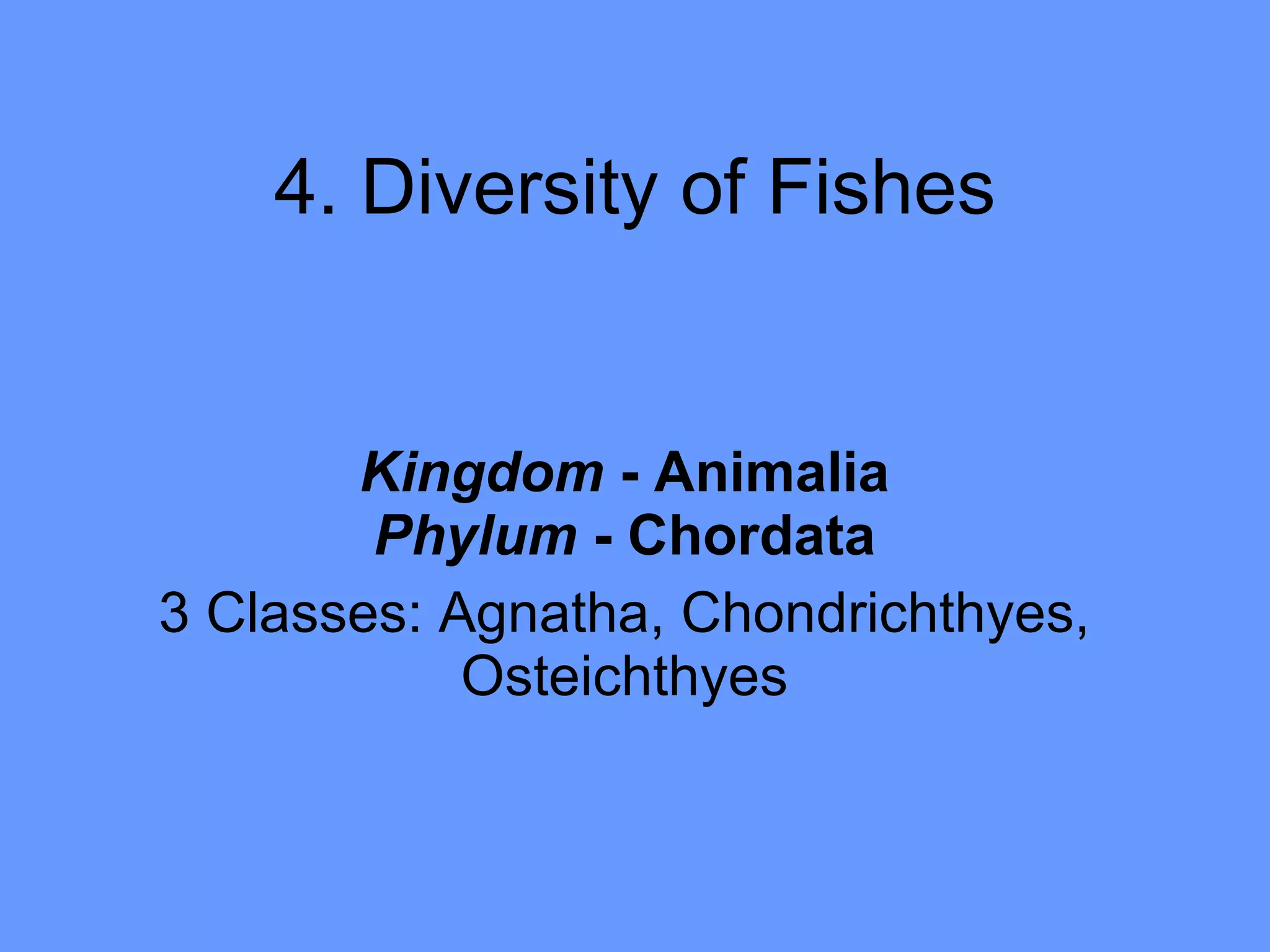 Diversity of fishes | PPT