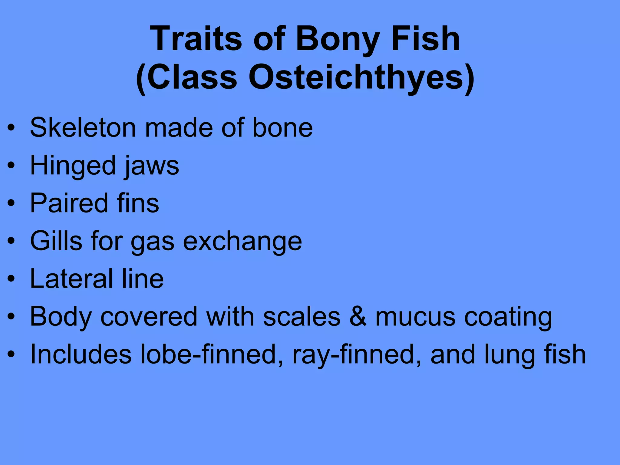 Diversity of fishes | PPT