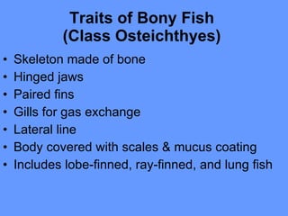 Diversity of fishes | PPT