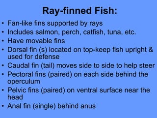 Diversity of fishes | PPT