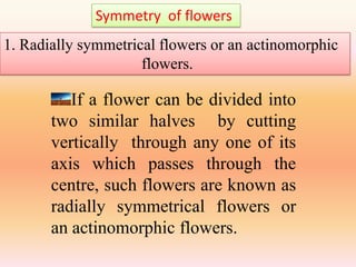 Diversity of flowers | PPTX