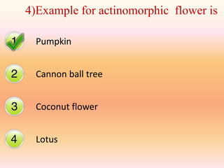 Diversity of flowers | PPTX