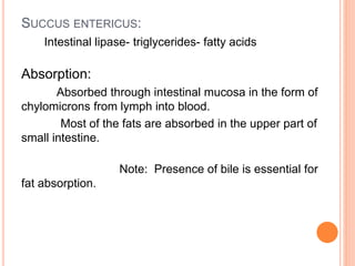 Diversity of food | PPTX