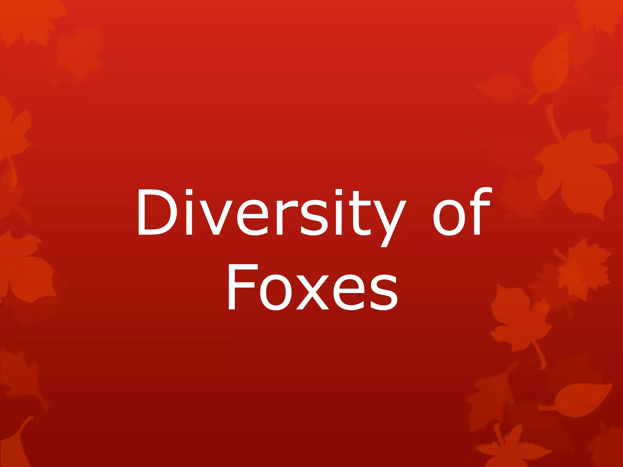 Diversity of foxes | PPTX