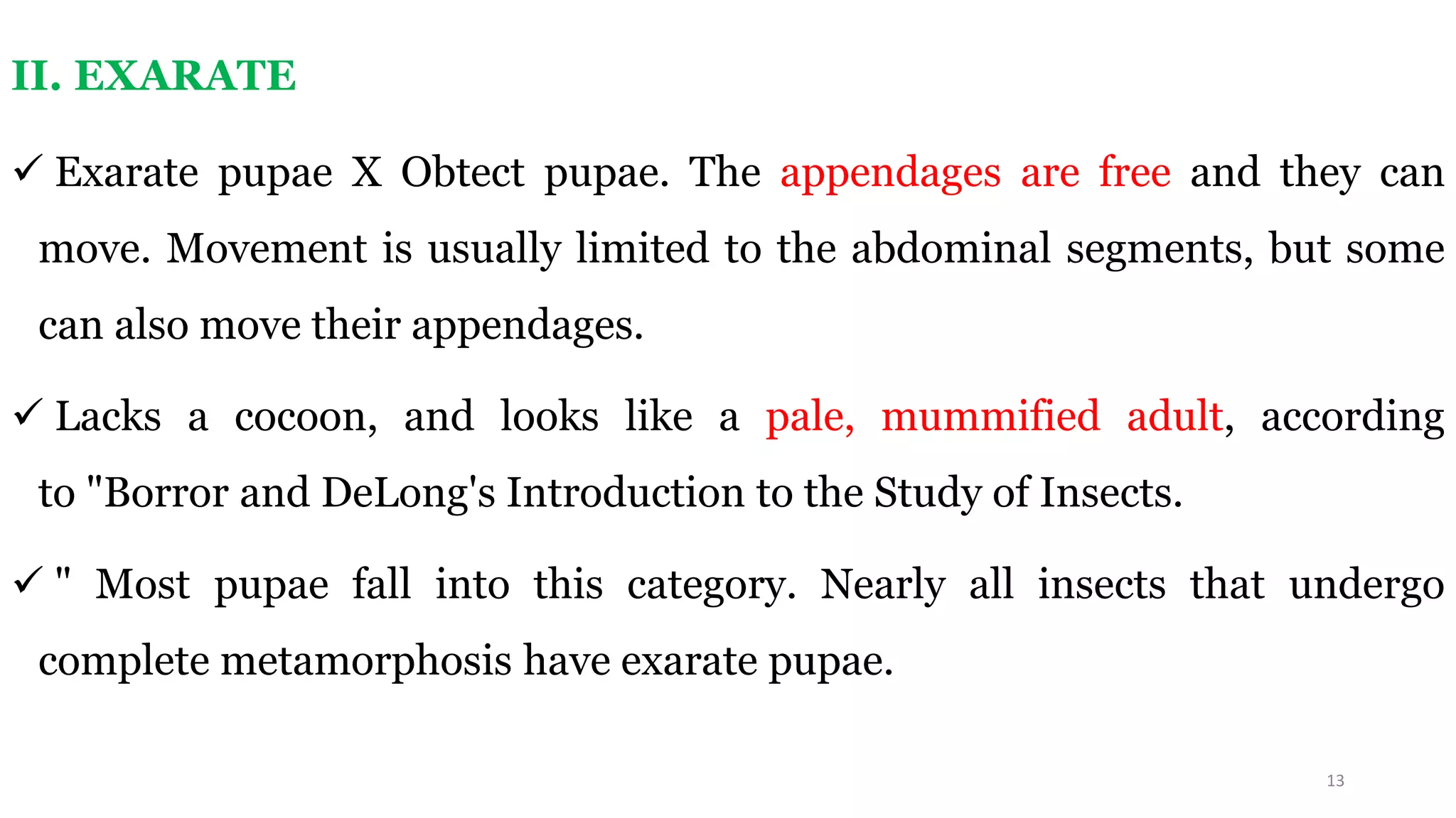 Diversity of insect pupae | PDF