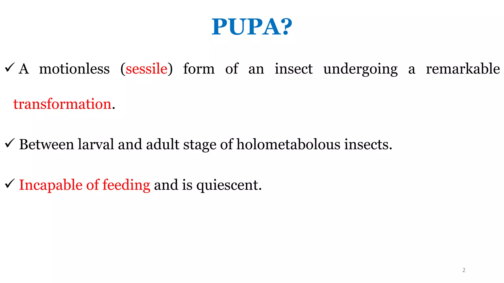 Diversity of insect pupae | PDF