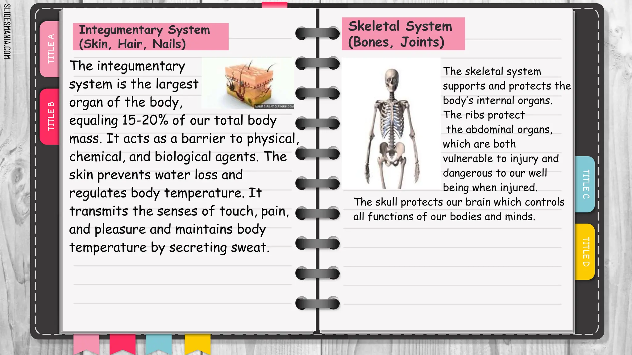 DIVERSITY OF LIFE- ABAO.pptxkyhfijdyujkhfujutd | PPTX