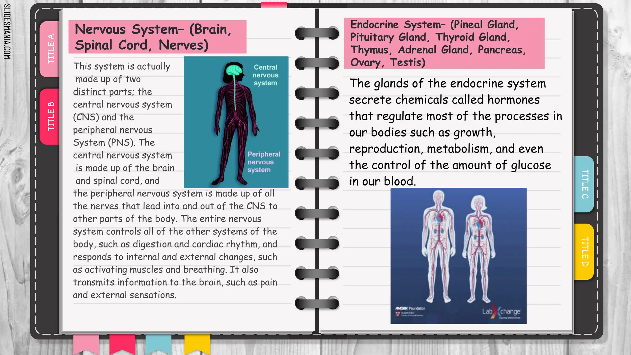 DIVERSITY OF LIFE- ABAO.pptxkyhfijdyujkhfujutd | PPT