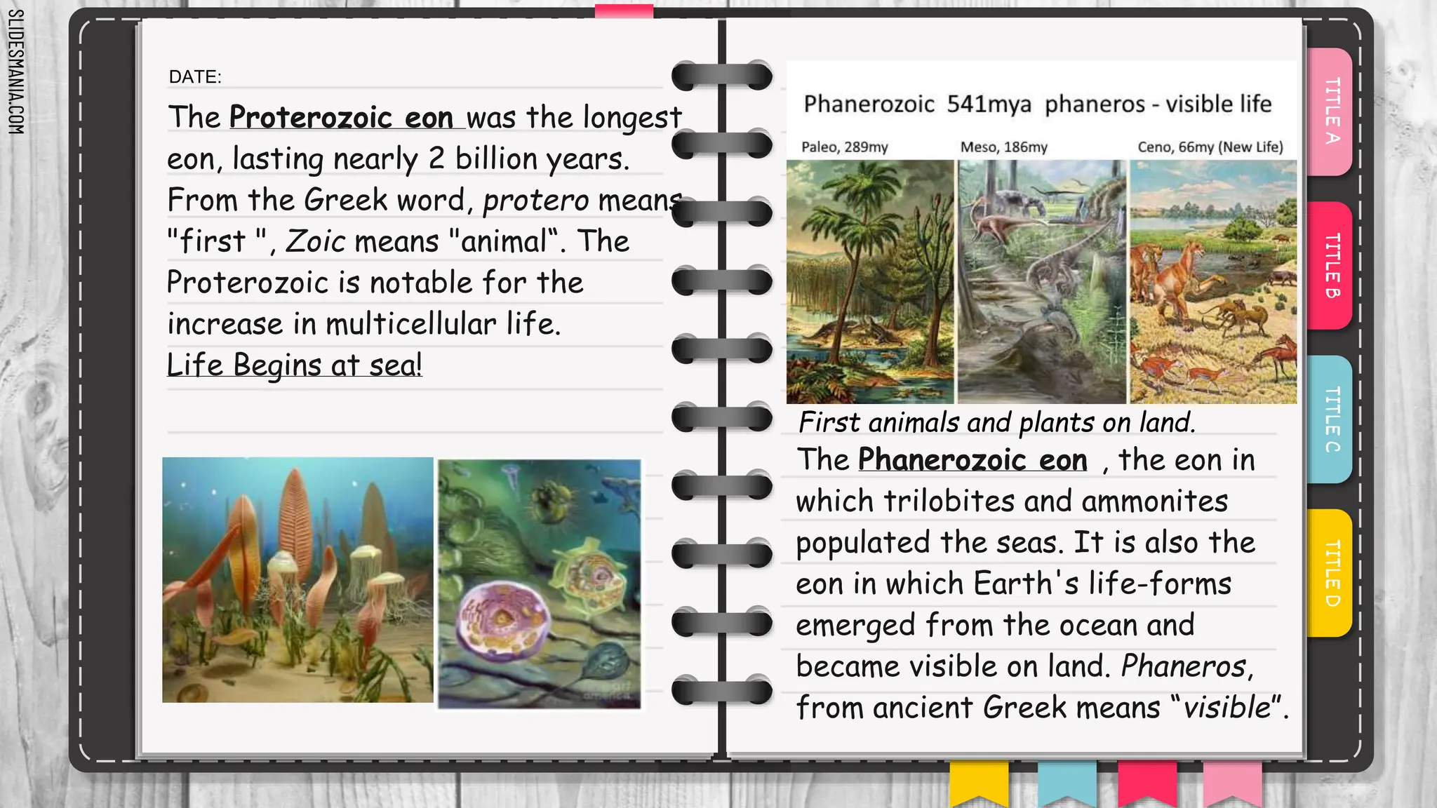 DIVERSITY OF LIFE- ABAO.pptxkyhfijdyujkhfujutd | PPTX