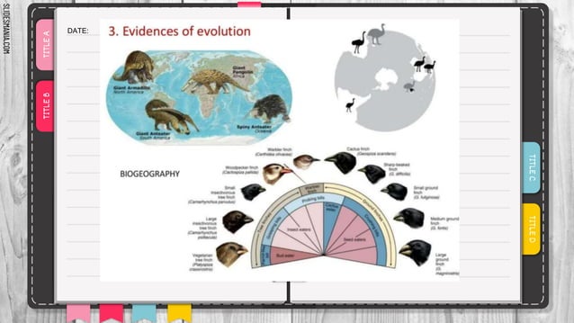 DIVERSITY OF LIFE- ABAO.pptxkyhfijdyujkhfujutd | PPT