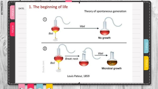 DIVERSITY OF LIFE- ABAO.pptxkyhfijdyujkhfujutd | PPT