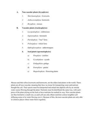 Plant Phylogenetic Description | DOCX