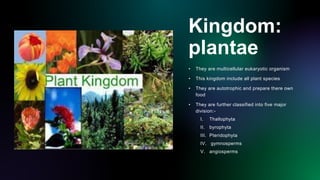 Diversity of living organisms | PPTX