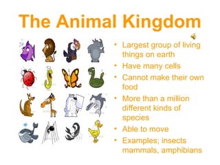 Diversity of Living Things | PPT
