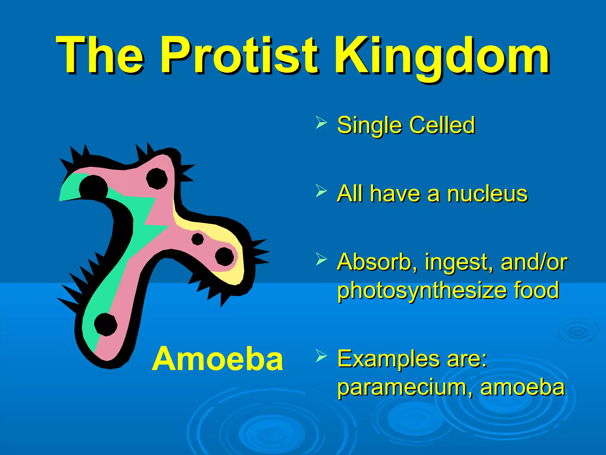 Diversity of Living Things | PPT | Biological Sciences | Science