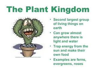 Diversity of Living Things | PPT