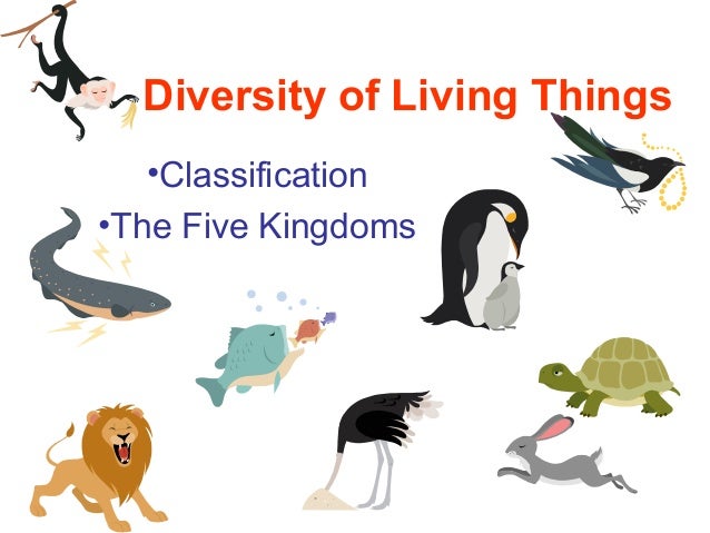 Diversity of Living Things Diversity of Living Things