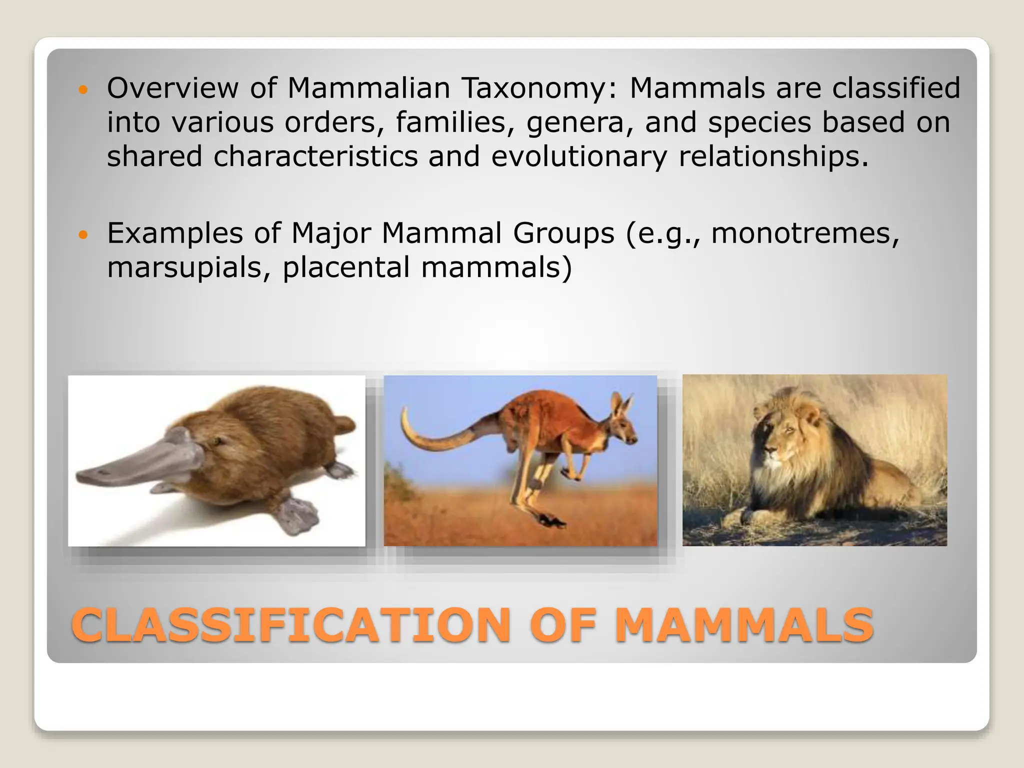 DIVERSITY _OF MAMMALS _Presentaion_.pptx
