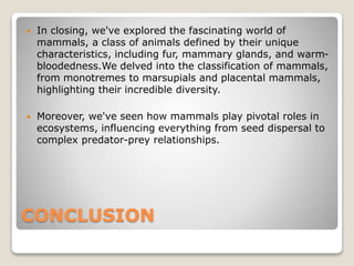 DIVERSITY _OF MAMMALS _Presentaion_.pptx