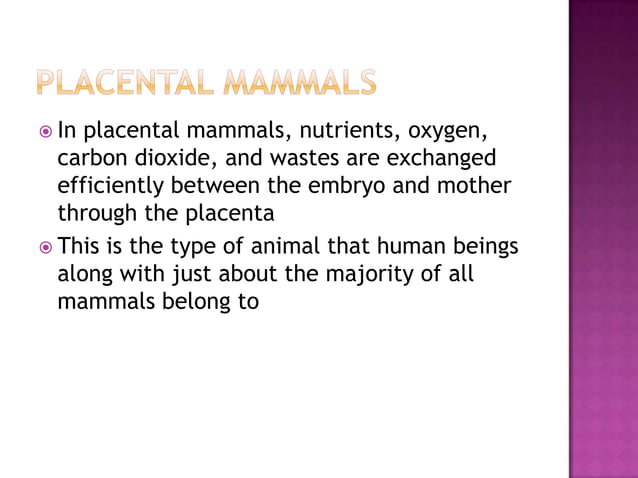 Diversity Of Mammals Placental Mammals | PPT