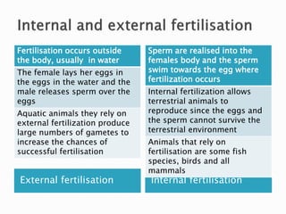 Diversity of reproduction strategies in some animals | PPTX