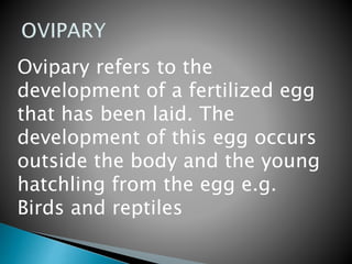 Diversity of reproduction strategies in some animals | PPTX