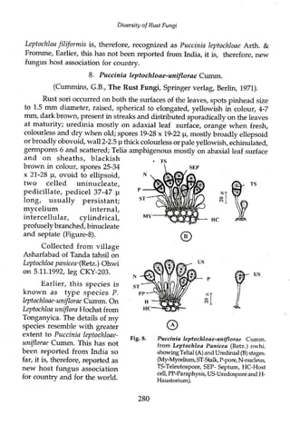 Diversity of rust fungi in oudh region of uttar pradesh | PDF