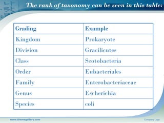 Diversity of the microbial world 2008 2009 | PPT
