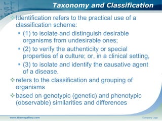 Diversity of the microbial world 2008 2009 | PPT