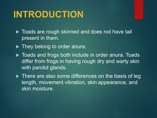 DIVERSITY OF TOADS.pptx | Reptiles | Pets