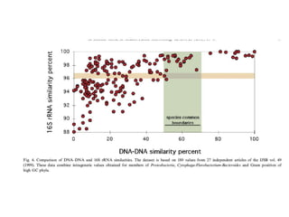 Diversity of Soil Microbes powerpoint.ppt