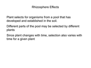 Diversity of Soil Microbes powerpoint.ppt
