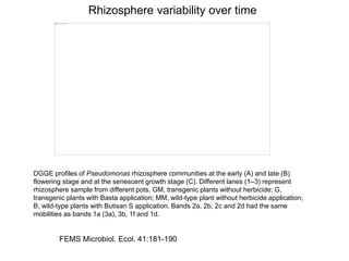 Diversity of Soil Microbes powerpoint.ppt